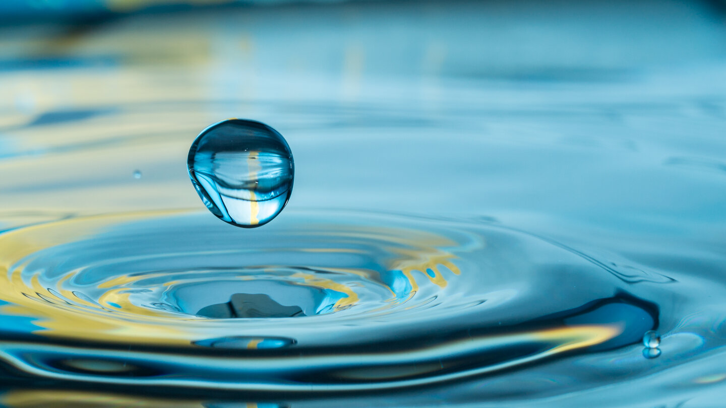 Undergraduate Student Research Fellowships provide career experience in ...